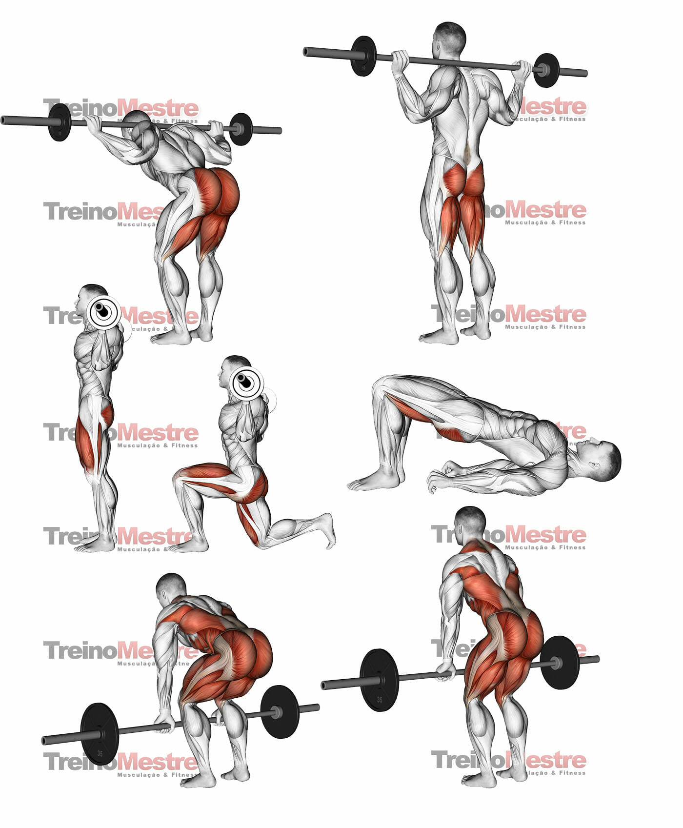 Exercícios para glúteos, como escolher os melhores e otimizar os ... Exercícios para glúteos, como escolher os melhores e otimizar os ...