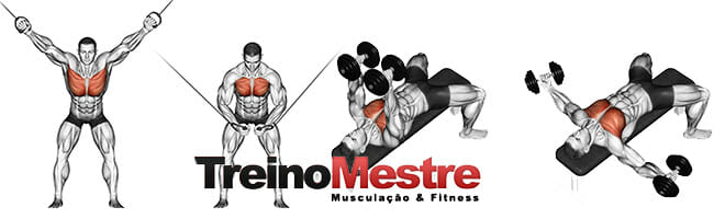 Exercícios Para Peitoral Que Não Podem Faltar Em Seu Treino Treino