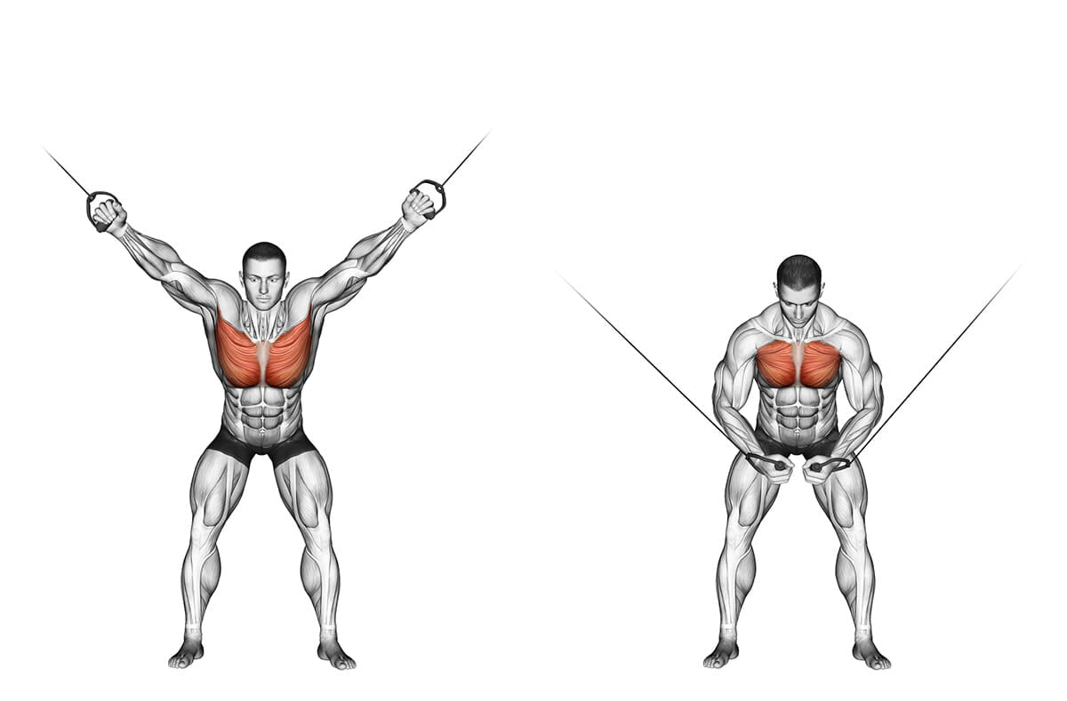 Crossover, como usar adequadamente - Treino Mestre