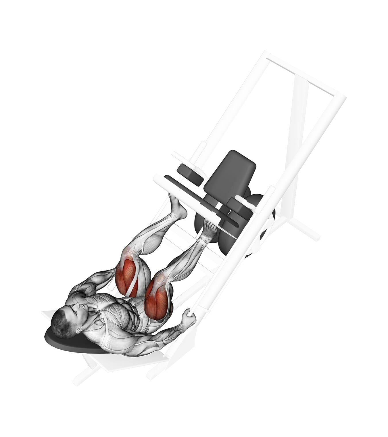 Leg Press - Execução correta e principais cuidados - Treino Mestre