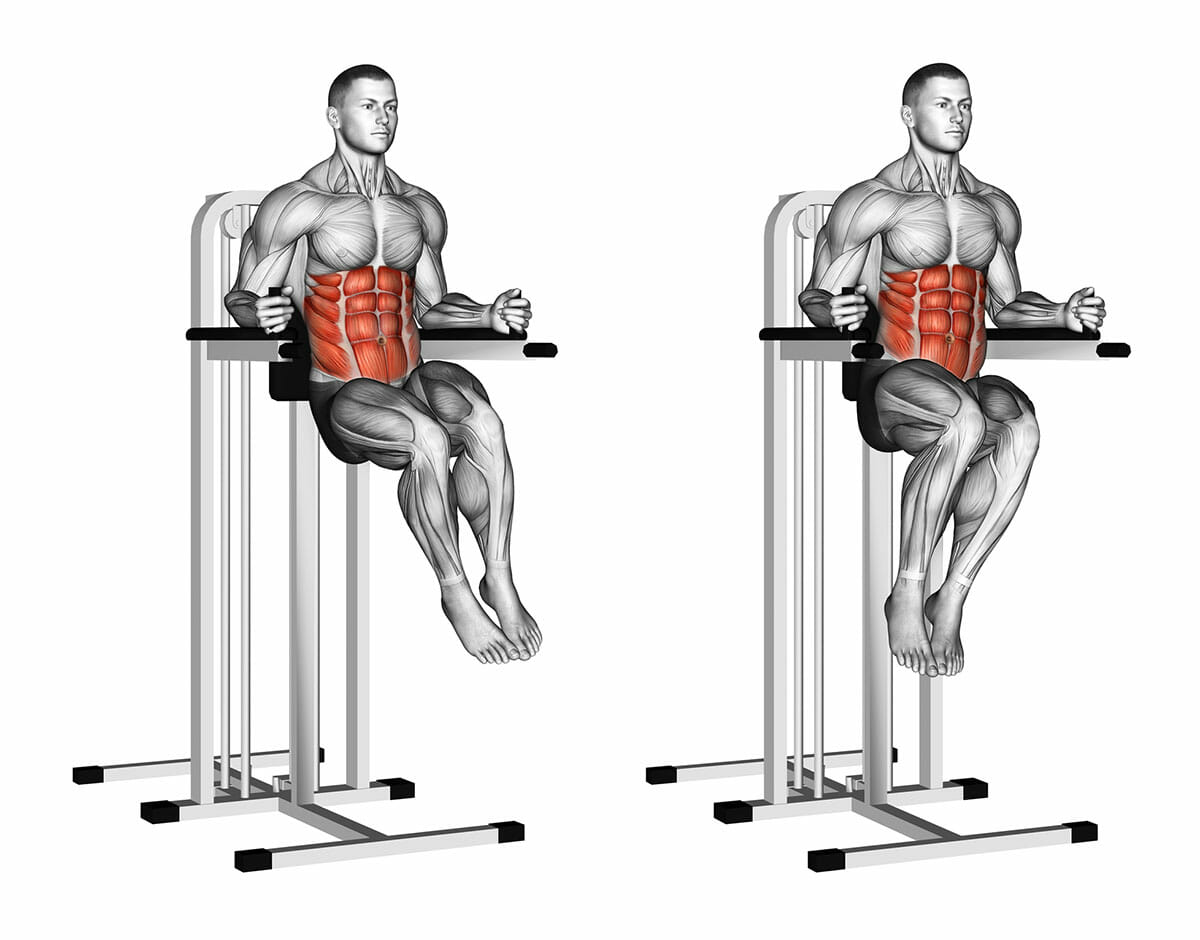 Quando devemos mudar o Treino? - Treino Mestre