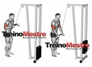 VIVER BEM COM ENERGIA - FITNESS: Tríceps pulley: variações do exercício ...